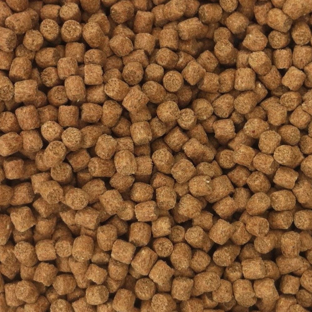 Sweet Amino Pellets – A Fantastic Year-Round Carp Catching Bait ...
